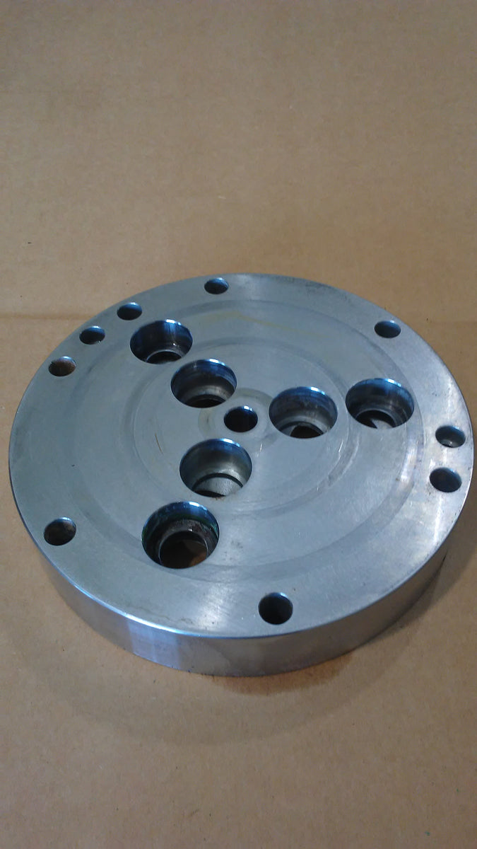 Wanner D10 Valve Plate SST p/n: GGD100031012 – G&G Fleet Supply